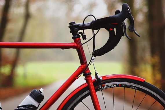 Noble Cycles Sugar Candy | The Spoken