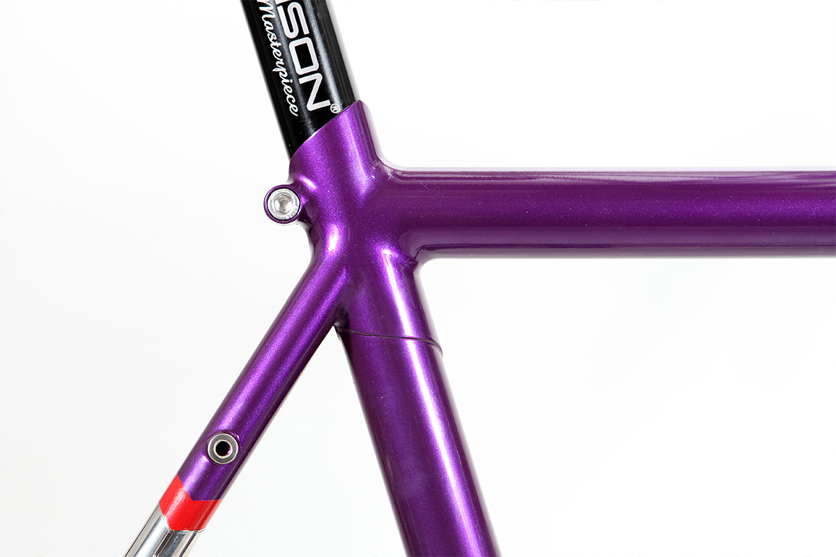 Raising Elle: Hartley Cycles Purple One | The Spoken