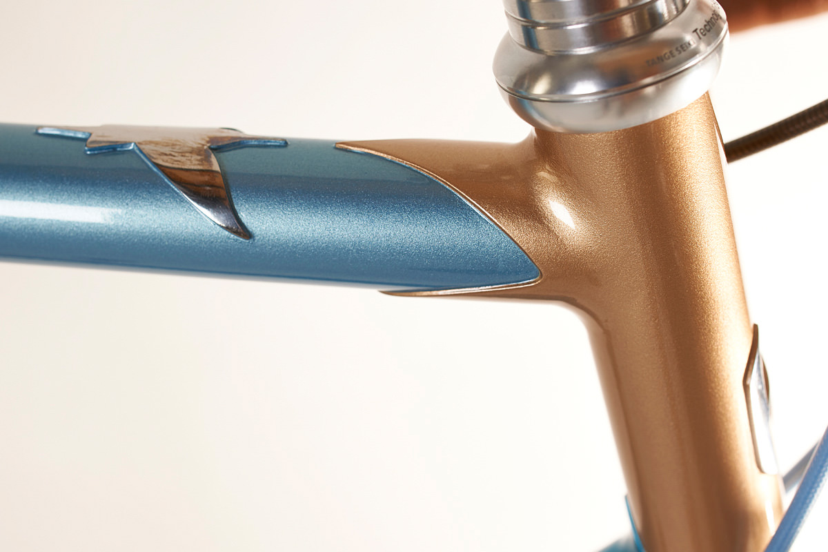 Bee Chaser: Kimura Cycles Merops | The Spoken